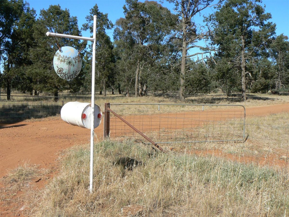 The Paddock Report – Museums & Climate Change – The People ...