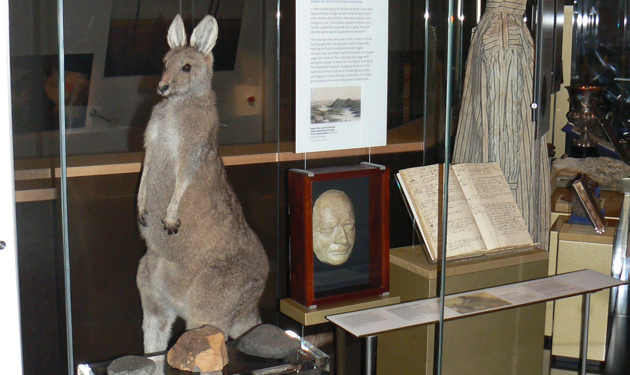 Introducing our new kangaroo – The People & Environment Blog